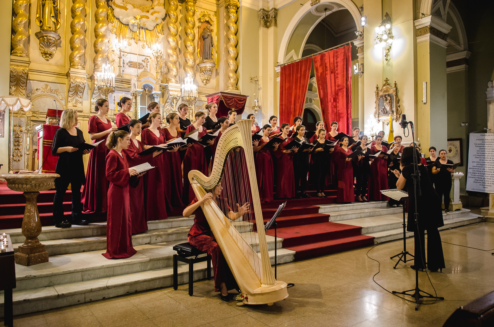 El arpa y sus encantos | Diario Mendoza Sur - Diario de San Rafael